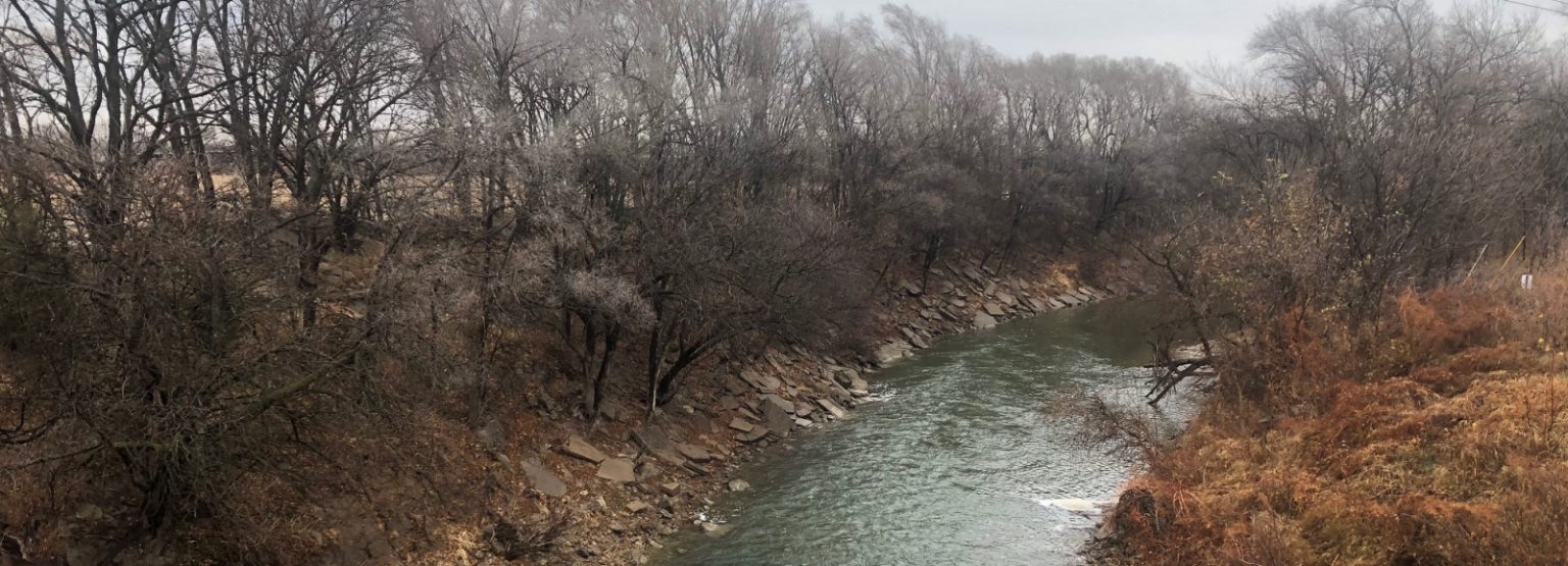 Service Projects – Friends of the River